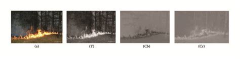 Forest Fire Detection Using A Rule‐based Image Processing Algorithm And Temporal Variation