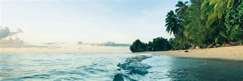 Emily Emilysiebert Twitter