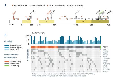 Detected Ezh2 Mutations A Schematic Illustration Showing The Download Scientific Diagram