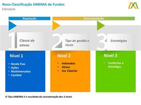 Organograma Tipos De Fundos De Investimento Mapa Mental Tipos De