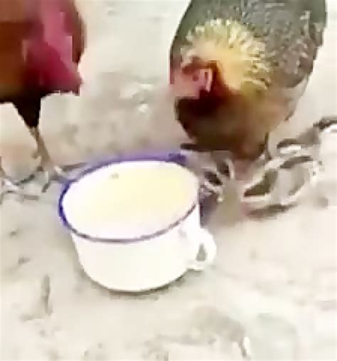 تفاوت مادر وپدر در اینجا