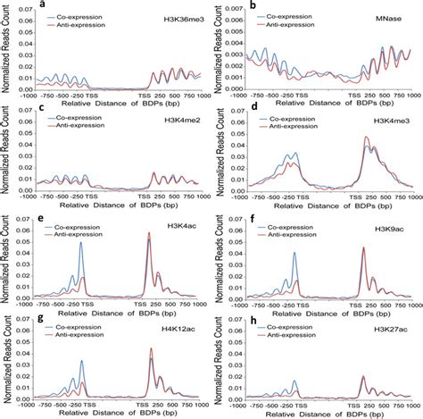 Profiling Of Histone Marks And Nucleosome Occupancy Between Coexpressed Download Scientific