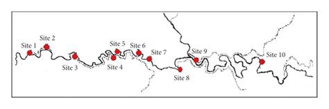 Joint Multifractal Analysis And Source Testing Of River Level Records Based On Multifractal