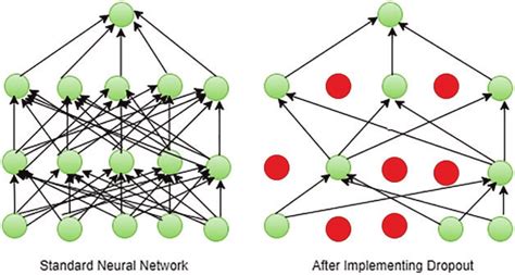 Impact Of Dropout On Standard Neural Network Download Scientific Diagram