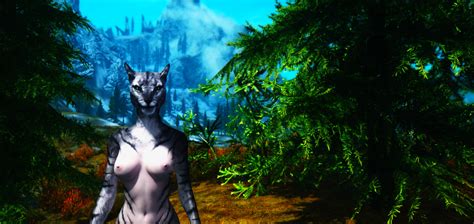 Rule 34 Skyrim Tagme The Elder Scrolls Video Games 2026483