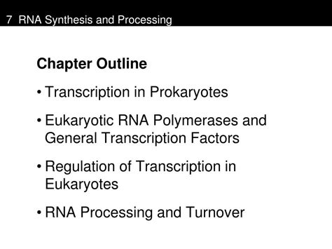 PPT RNA Synthesis And Processing PowerPoint Presentation Free Download ID 2240923
