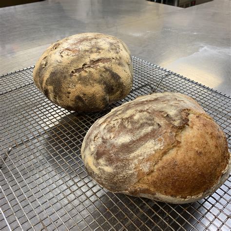 My First Try 😬 R Breadit