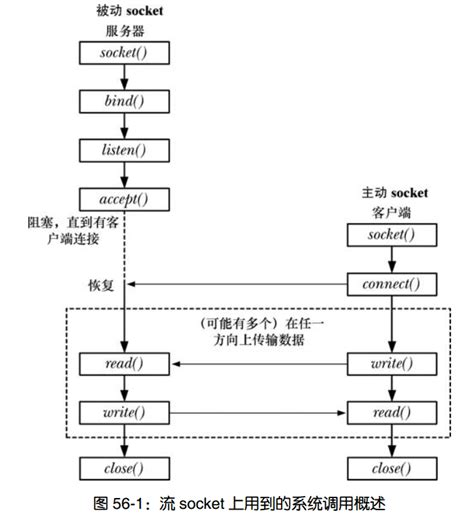 Gnulinux下实现一个简易echo服务器 Csdn博客