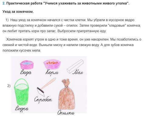 Окружающий мир 1 класс рабочая тетрадь 1 часть страница 50