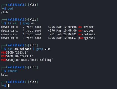 Kali Linux Vs Parrot Os Which Pentesting Distro Is Best
