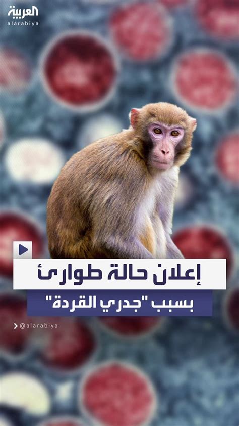 قناة العربيةلأول مرة في العالم نجاح علماء في معهد تكساس للقلب في