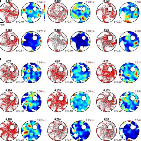 Additional Examples Of Spatial Tuning In 4 And 8 Start Navigation Download Scientific Diagram