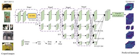 rfb hrnet network structure download scientific diagram
