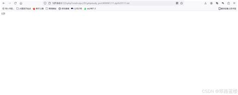 文件包含php伪协议利用方法小皮怎么配置php伪协议访问权限 Csdn博客