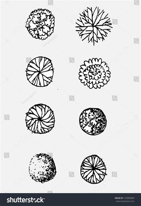 Vector Trees Leaves Stock Vector Royalty Free 155800040 Shutterstock