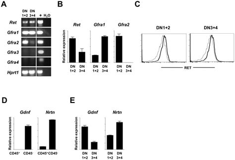 A E155 Dn12 And Dn34 Thymocytes Were Purified By Flow Cytometry