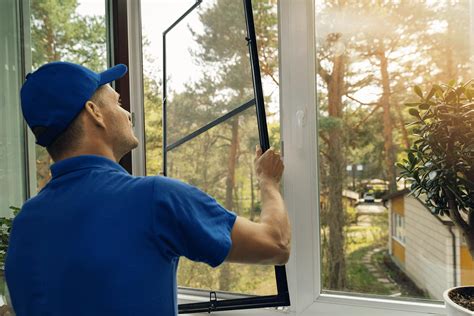 DIY Window Screen Repair Guide Twigandthistle