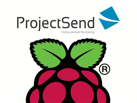 Raspberry Pi Server Project Ideas Techcoil