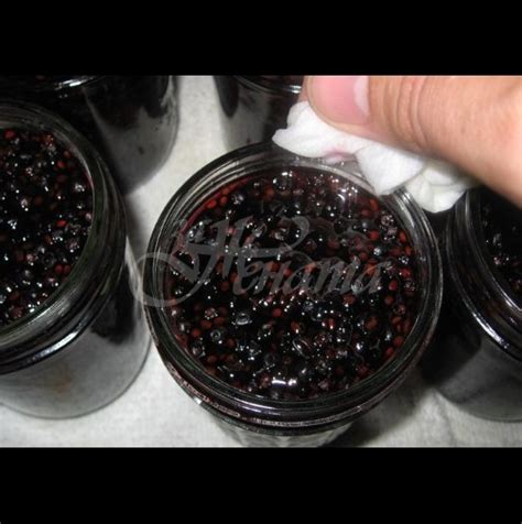 Рецепти с черен бъз на Петър Димков Правят чудеса с тялото и го подготват за зимата За Жената