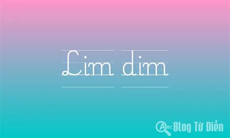 Động Từ Lim Dim Là Gì Từ đồng Nghĩa Trái Nghĩa Từ Điển Tiếng Việt