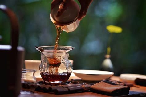 Como Fazer Chá Xiao Qing Gan Teasenz Eu