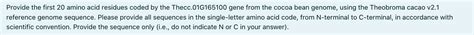 Solved Provide The First 20 Amino Acid Residues Coded By The