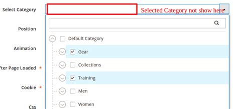 Magento2 Magento 2 Selected Category Not Shows In Ui Form Magento