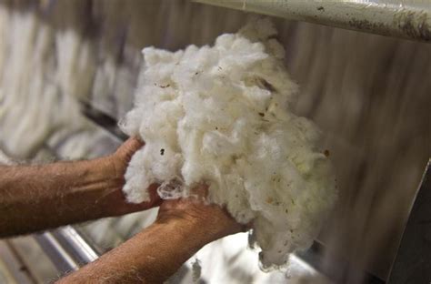 Agronomics Limited On Linkedin Fast Fashion Bets On Greener Lab Grown