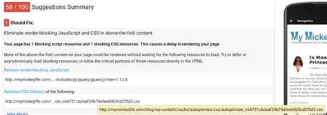 eliminate render blocking javascript css above the fold content