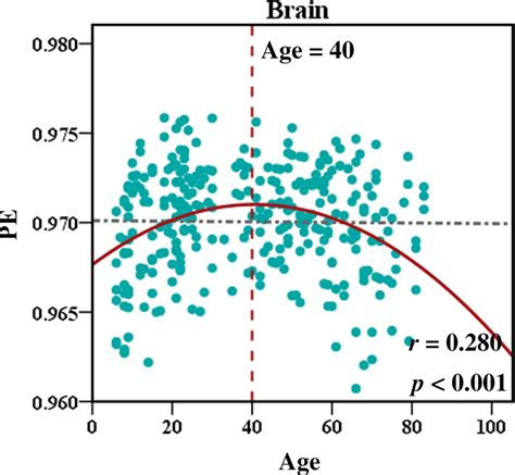 The Developmental Trajectory Of The Global Brain Global Human Brain