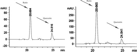 HPLC Analysis Peaks Shown In 20 6 Minutes RT 20 6 Minutes