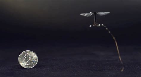 Robobee Controlled Flight Of A Robotic Insect