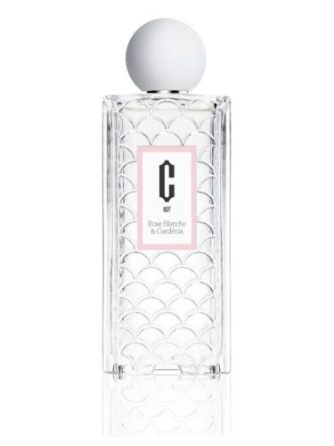 Rose Blanche & Gardénia Carlotha Ray Parfum - ein es Parfum für Frauen 2021