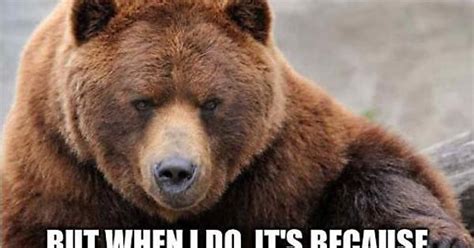 Best Bear Meme Imgur