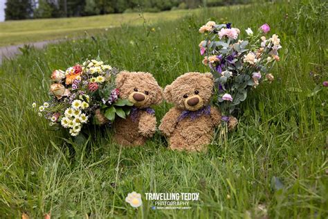 Stofftierladen24 Albert Ich Bin Ein 70er Bär Von Nici Und Neben Mir