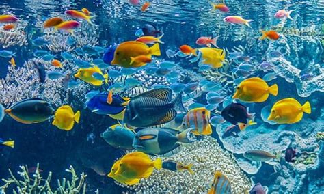 Visiter Brest 15 Choses à Faire à Brest Et Ses Environs Où Dormir Francetrotter