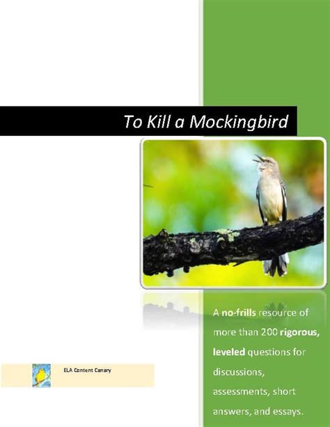 To Kill A Mockingbird Comprehension Questions By Chapter Full Novel