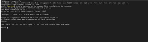 Docker实操：安装mysql57详解（保姆级教程）docker Mysql 57 Csdn博客