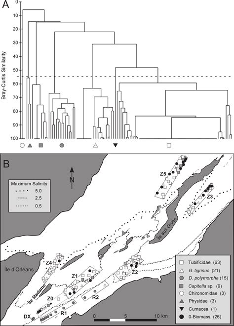A Group Average Clustering And B Distribution Of The Benthos Download Scientific Diagram