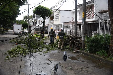 Emergencias Por Lluvias En Cali Deja Más De 24 árboles Caídos Y Varias