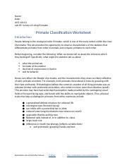 Understanding Primate Classification And Characteristics Course Hero