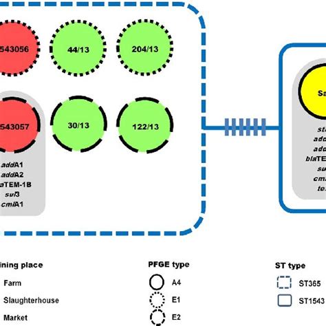 Pdf High Resolution Whole Genome Multilocus Sequence Typing Wgmlst Schemes For Salmonella