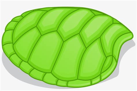 Turtle Shell Vector At Vectorified Com Collection Of Turtle Shell Vector Free For Personal Use