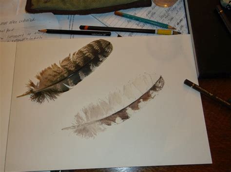 Drawing A Feather Step By Step Alissa Duke