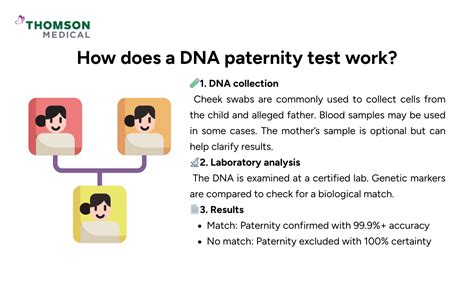 Dna Paternity Test In Singapore Procedures And What To Expect