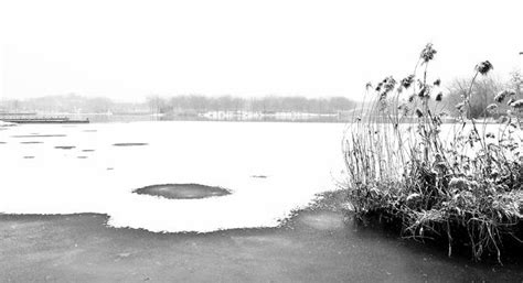 雞澤毛遂公園踏雪尋梅 原創手機拍2017 12 14第一場雪 每日頭條