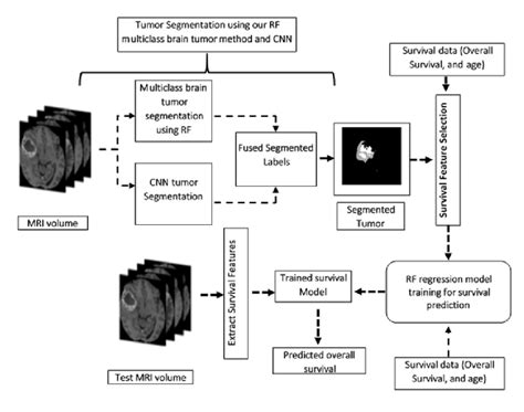 Pipeline For Tumor Segmentation And Survival Prediction Download Scientific Diagram