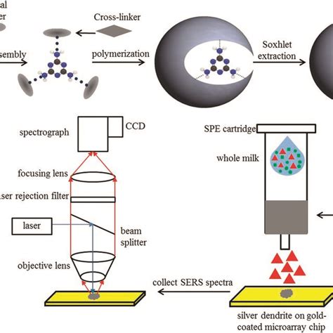 The Schematic Diagram For Milk Adulteration Detection Using Raman And