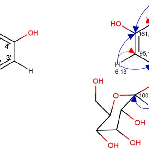 Two Dimensional Nmr Spectrum Of Compound 1 Hsqc Heteronuclear Single Download Scientific