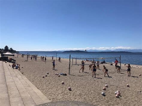 Ava Beach Volleyball Lets Go Brett